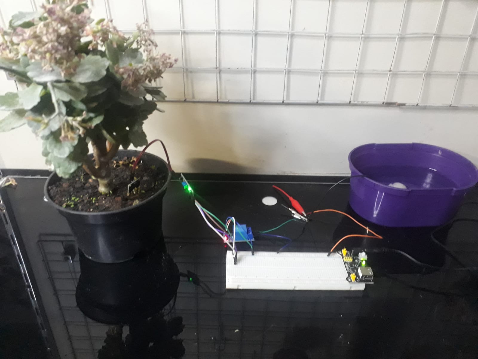 Irrigação automática com Sensor de Umidade do solo